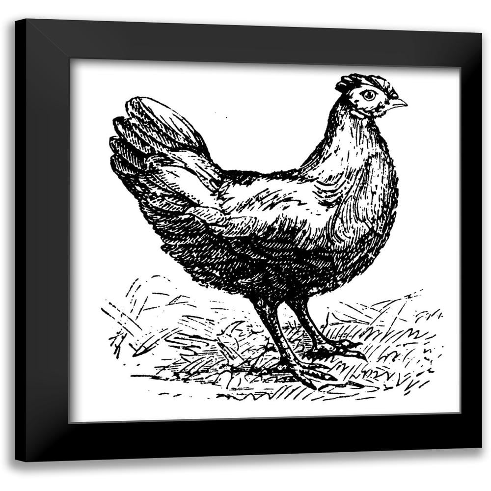 Chicken Scratch 20x20 Black Modern Framed Museum Art Print Titled - Art ...