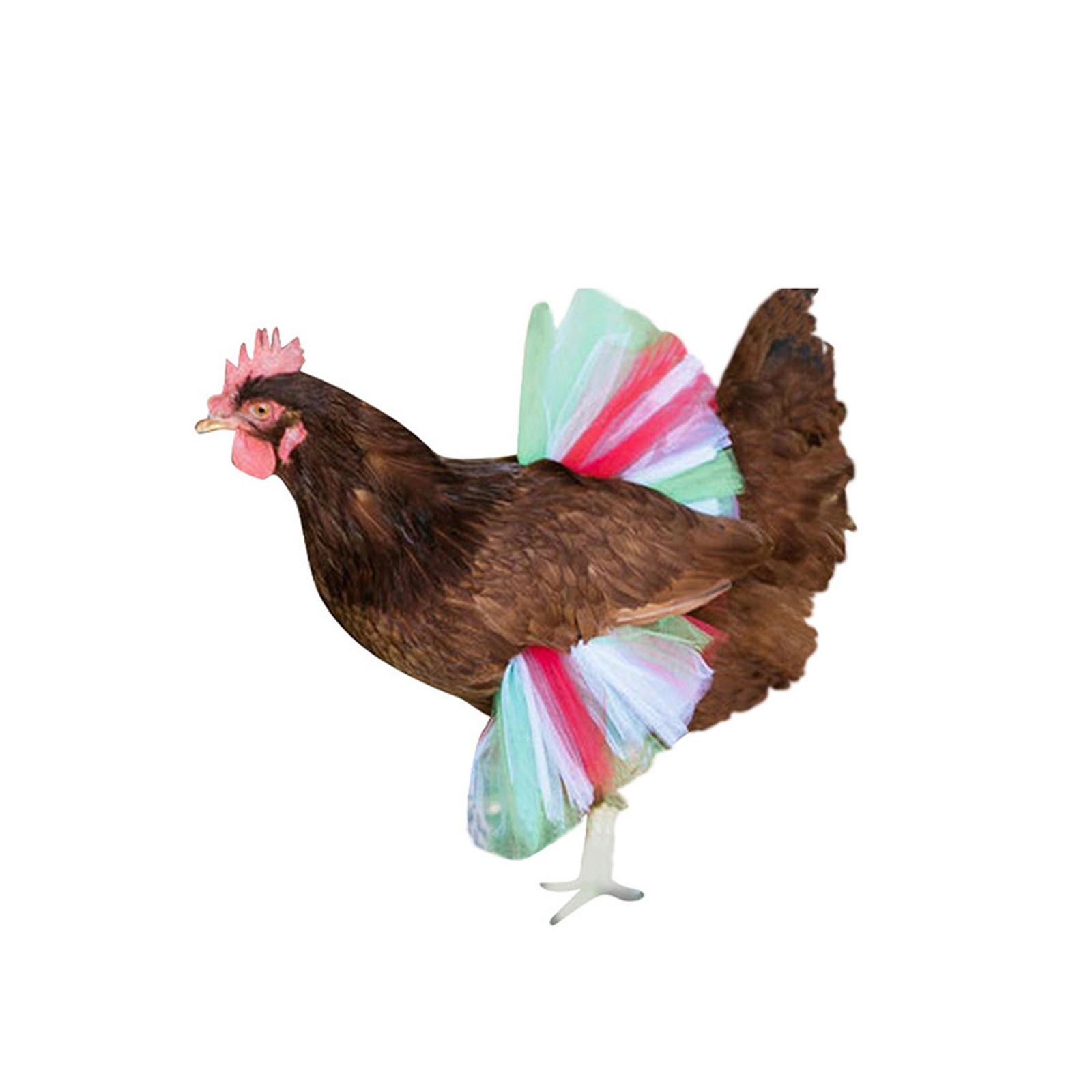 Chicken Skirt Pet Skirt Chicken Ballet Skirt Princess Mesh Skirt ...