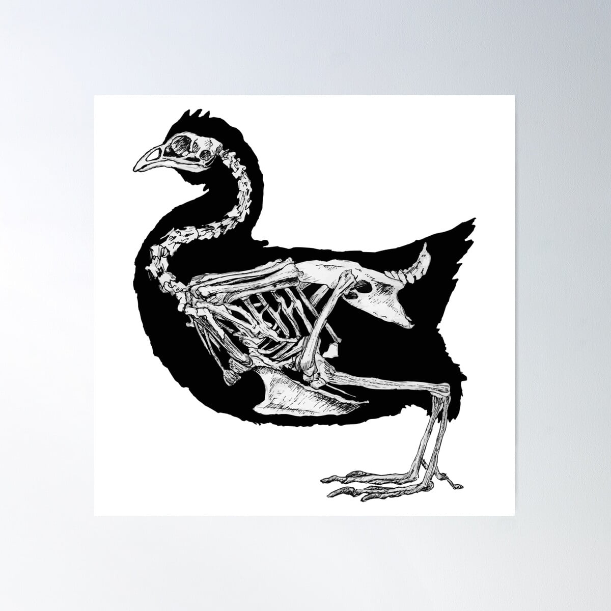 Chicken Skull Poster Wall Art, Modern Wall Decor For Living Room ...