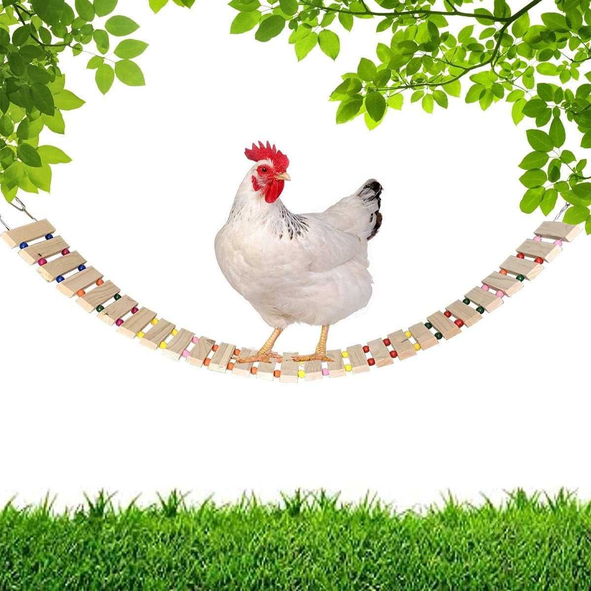 Chicken Swing, Natural Wood Chicken Ladder With Suspension Hook Design ...
