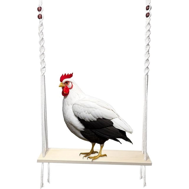 Chicken Swing Toy for Large Chicken Coop, Chicken Enrichment Toy for ...