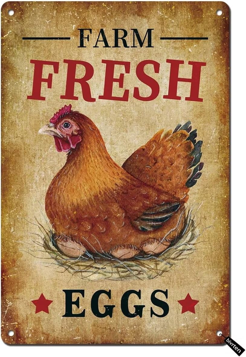 Chicken Tin Signs Farm Fresh Eggs Sign Vintage Country Chicken Hen ...