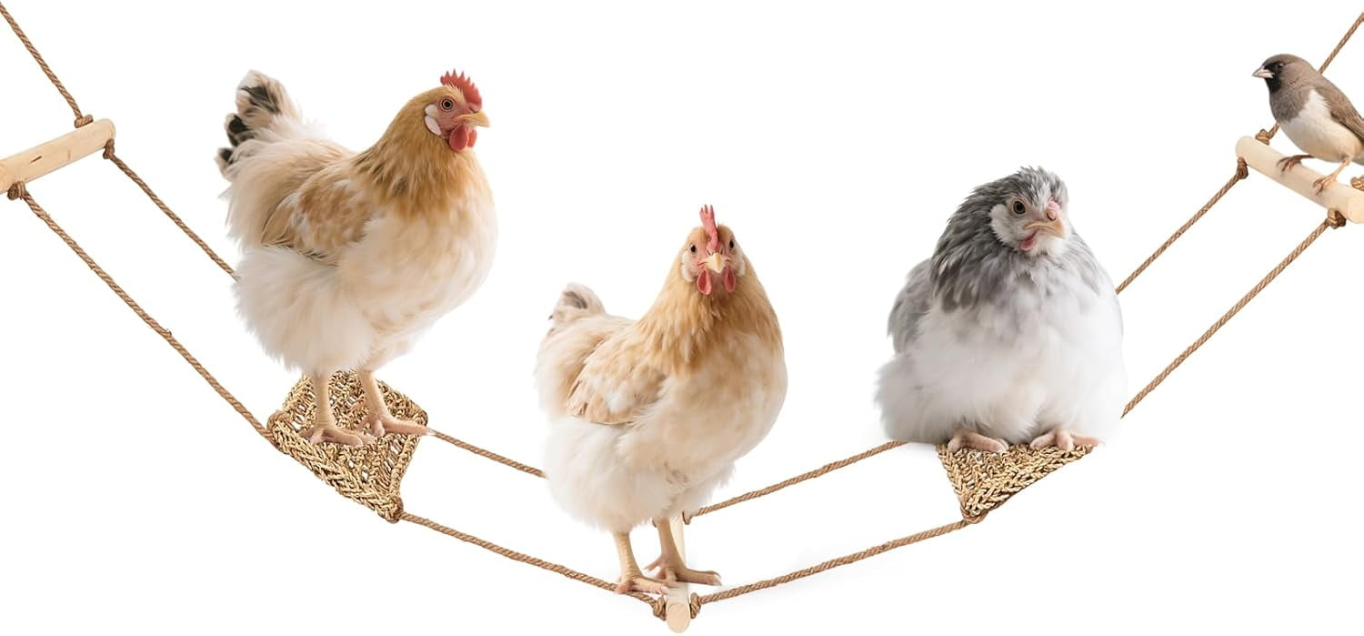 Chicken Toys for Coop Chicken Swing Toy for Coops,Natural Wood & Hemp ...