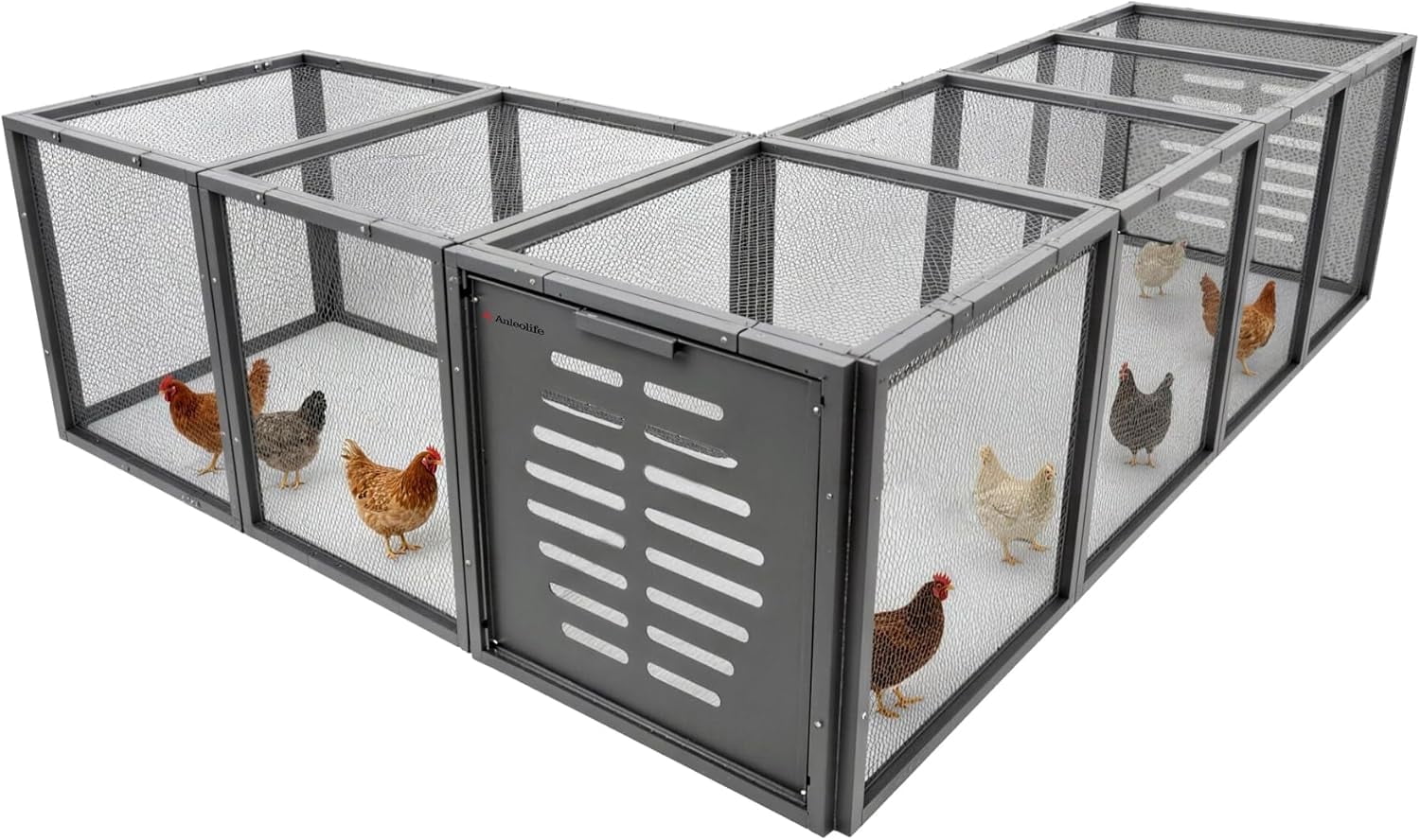 Predator Proof Chicken Tunnel