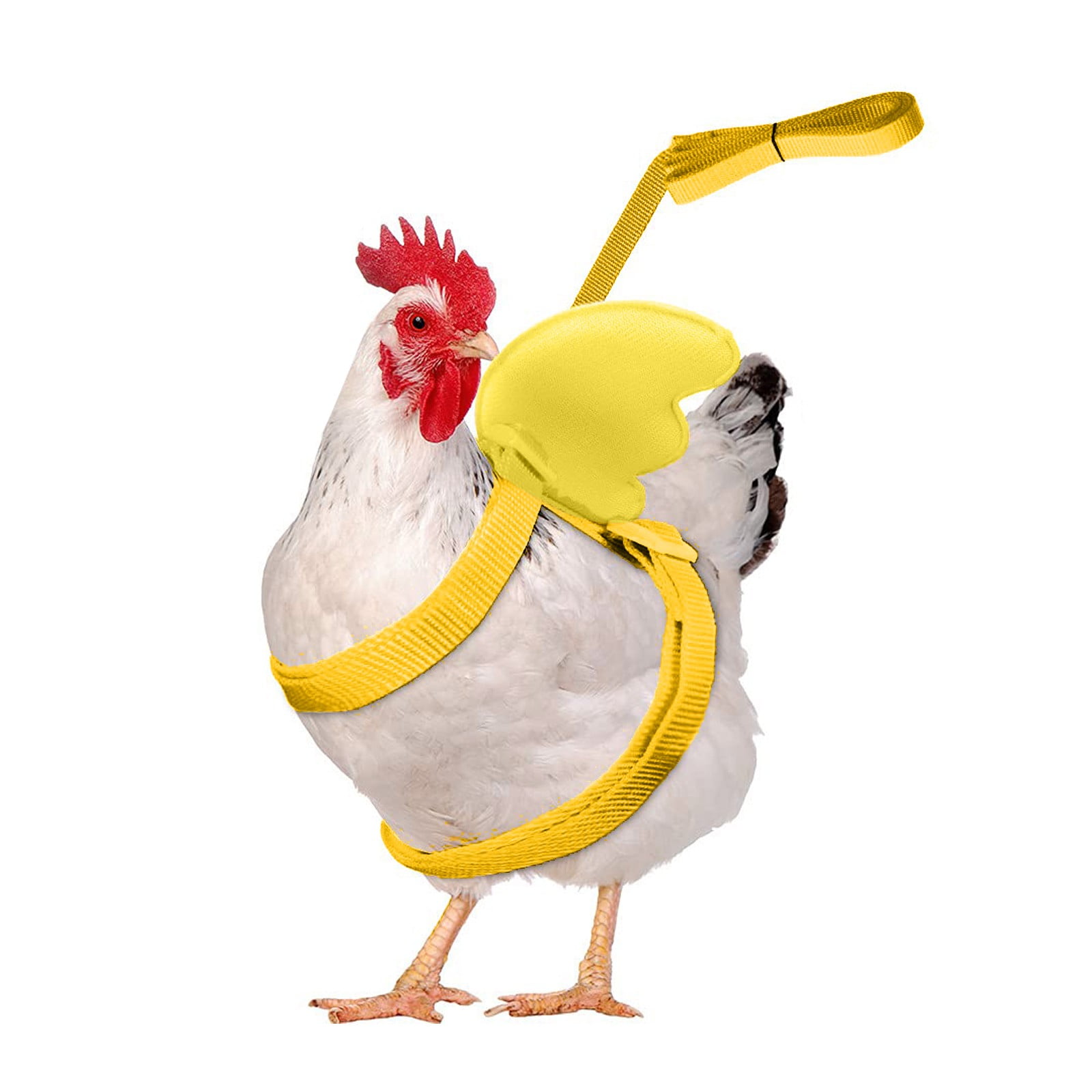 Chicken Walking Harness, Pet Chicken Leash, Poultry Walking Vest ...
