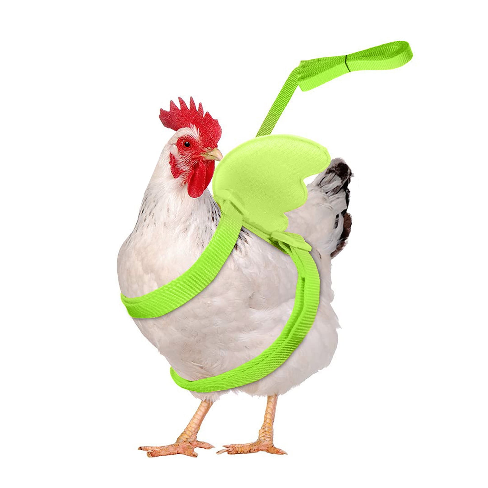 Chicken Walking Harness, Pet Chicken Leash, Poultry Walking Vest ...