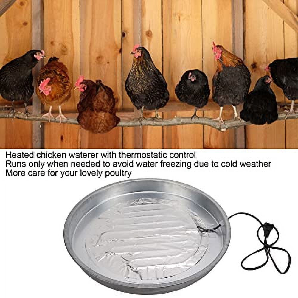 Chicken Water Heater, 30 ℃ Constant Temperature Metal Poultry Water ...