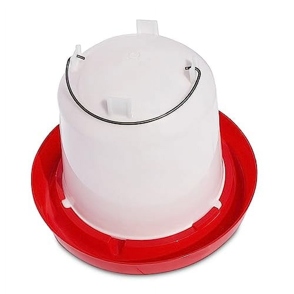 Chicken Waterer 1.5-Gallon Metal Handle Poultry Drinker | Large ...