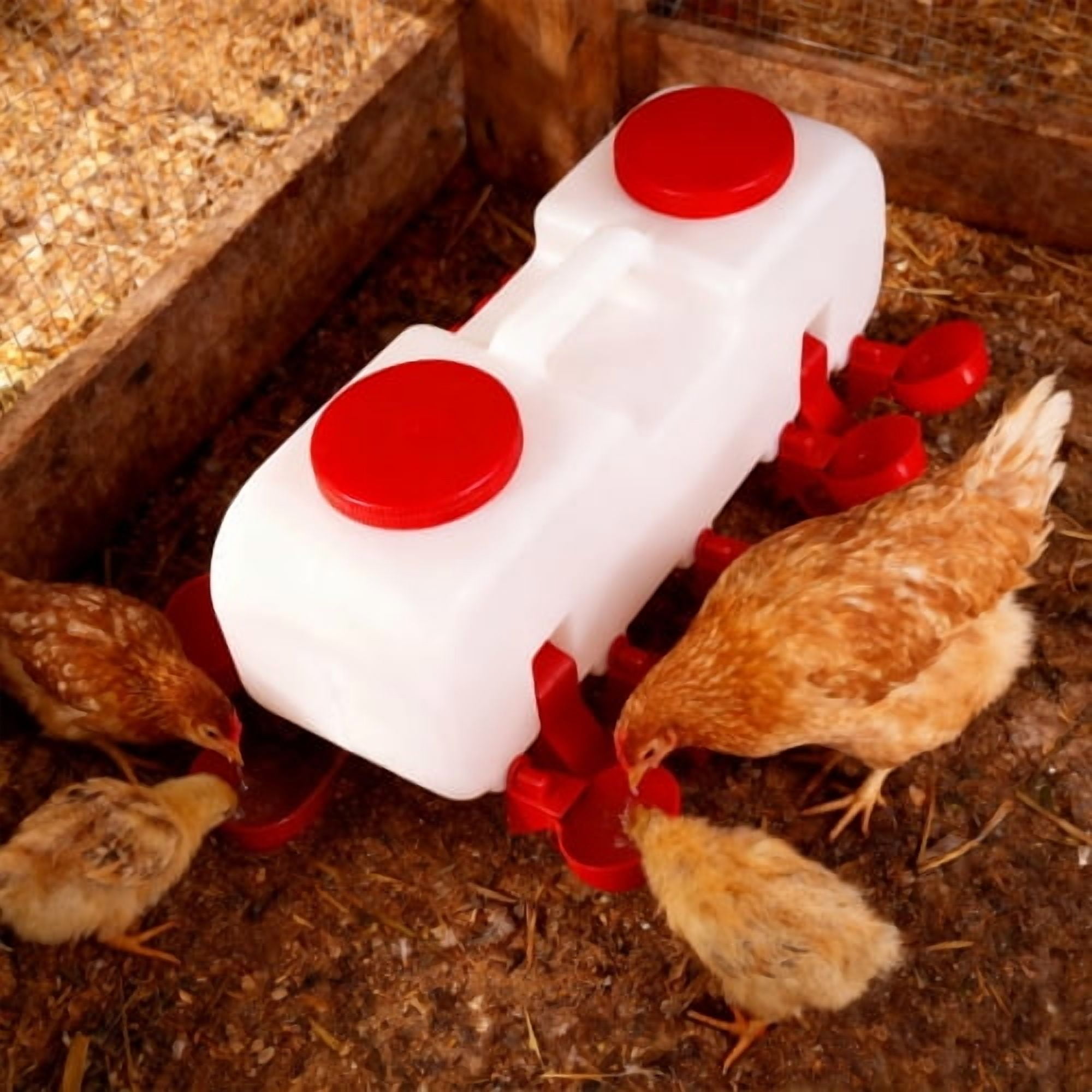 Chicken Waterer with 10 Drinking Cups, Easy Disassembly and Cleaning ...