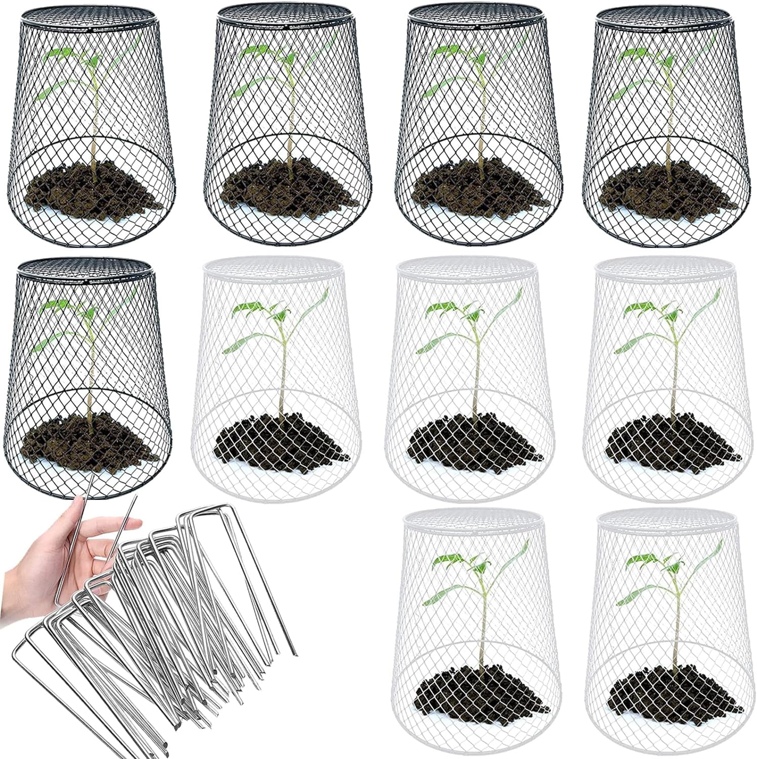 Chicken Wire Cloche, 10 Pack Metal Garden Chicken Wire Plant Cloche ...