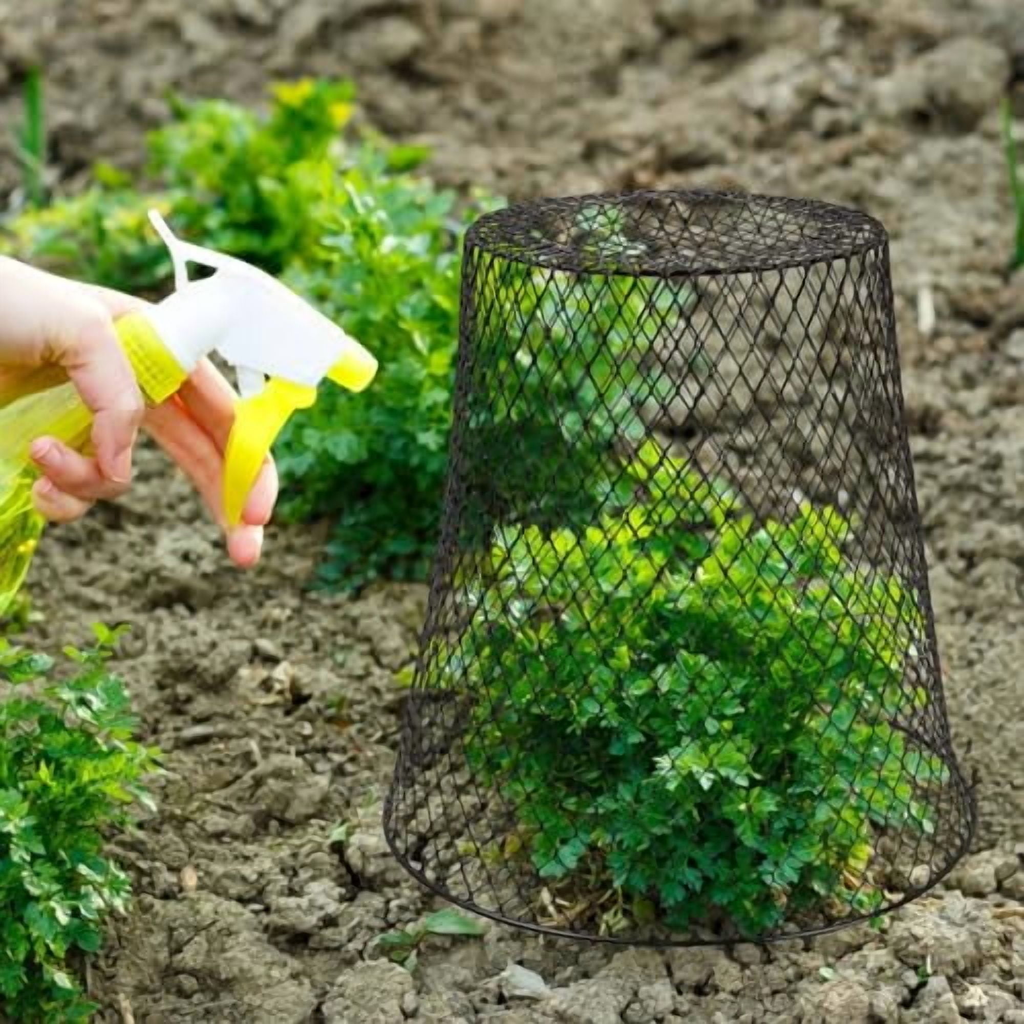 Chicken Wire Cloche Plant Covers, 5 Plant Protectors from Animals ...