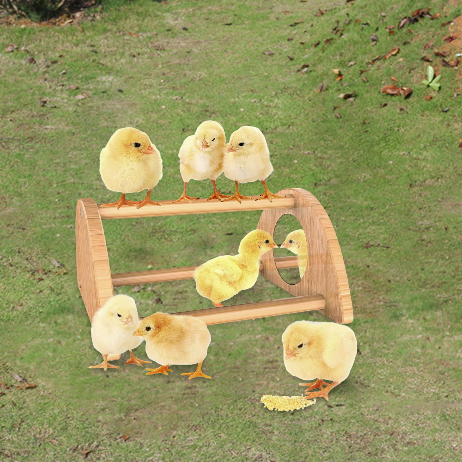 Chicken Wood Stand, Chick Perch, Wooden Training Perch Ladder Roost ...