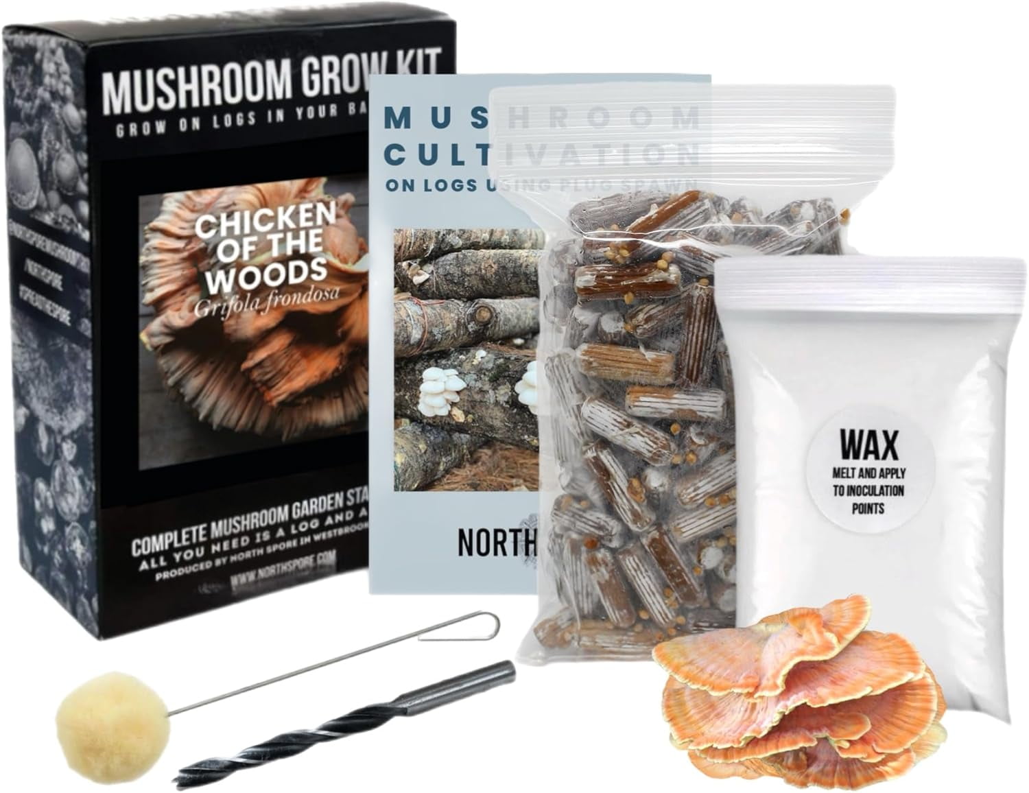 Chicken of the Woods Mushroom Log Kit, Outdoor DIY Mushroom Kit, Easy ...