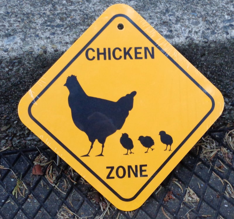 Chicken Zone Funny Sign Hen and chicks 6x6 inch metal yard house sign ...