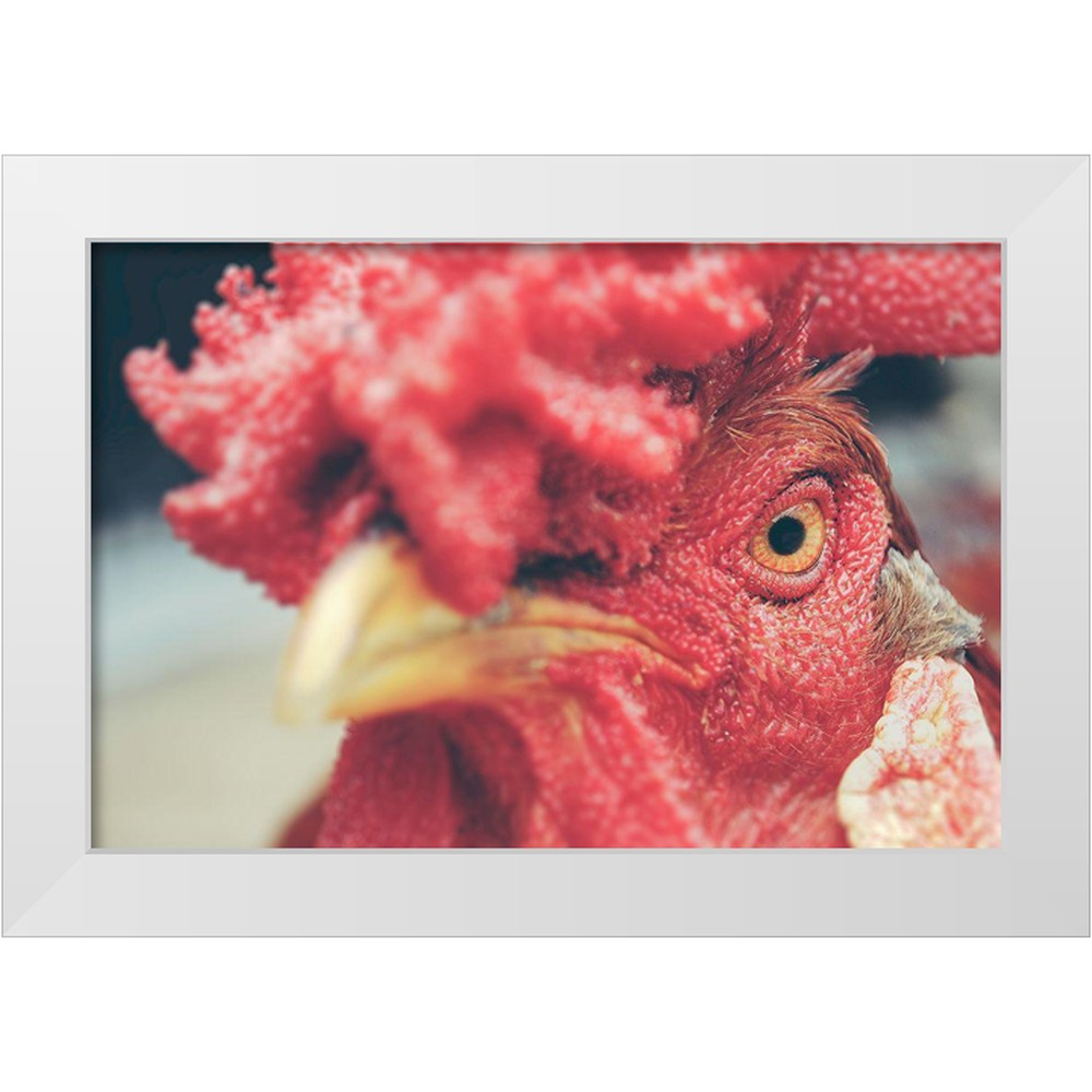 Chickens 18x13 White Modern Wood Framed Museum Art Print Titled - Mad ...