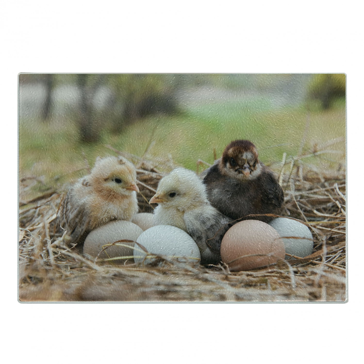 Chicks Cutting Board, Photo Focused on Little Chickens in Hay with Eggs ...