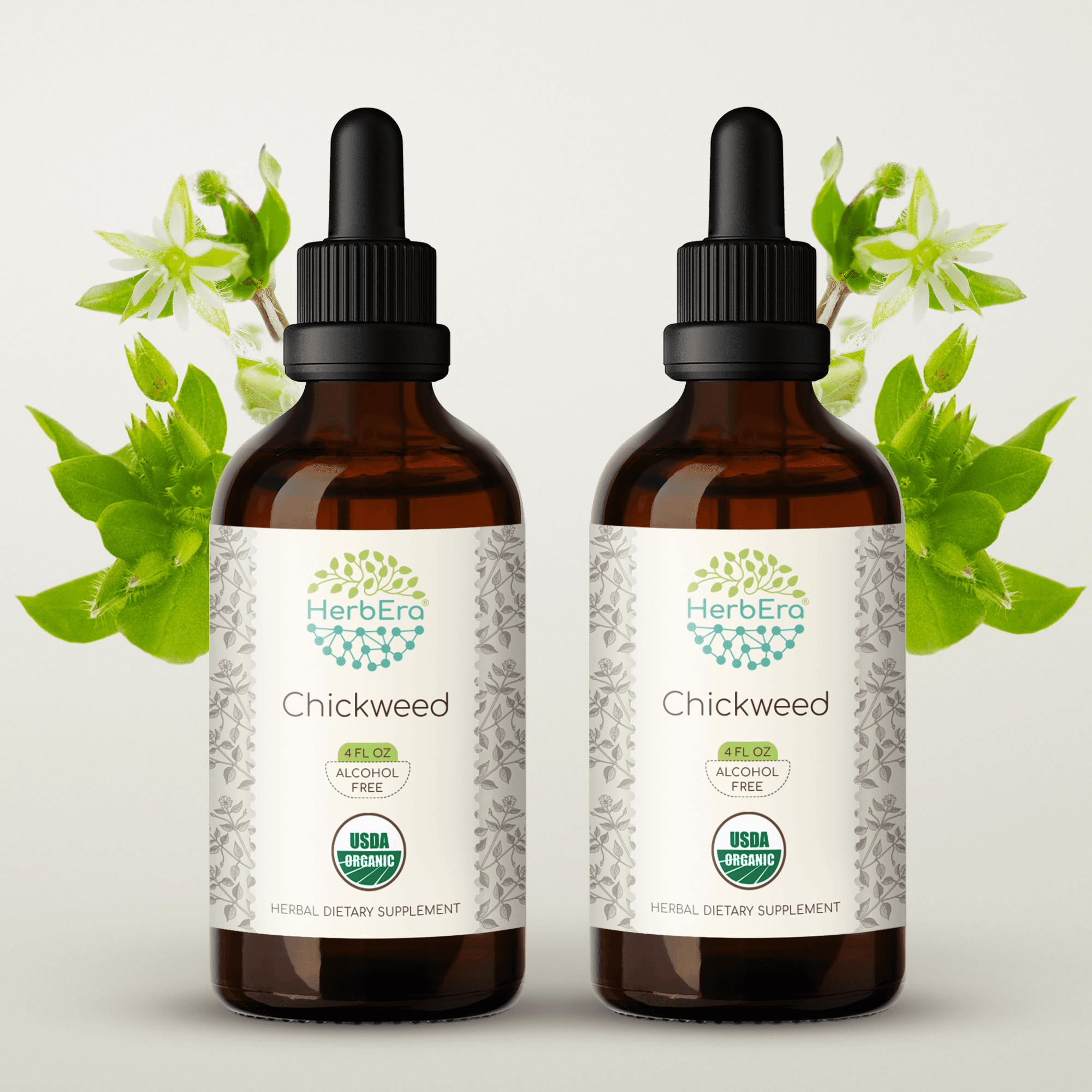 Chickweed Alcohol-FREE Herbal Extract Tincture, Super-Concentrated ...