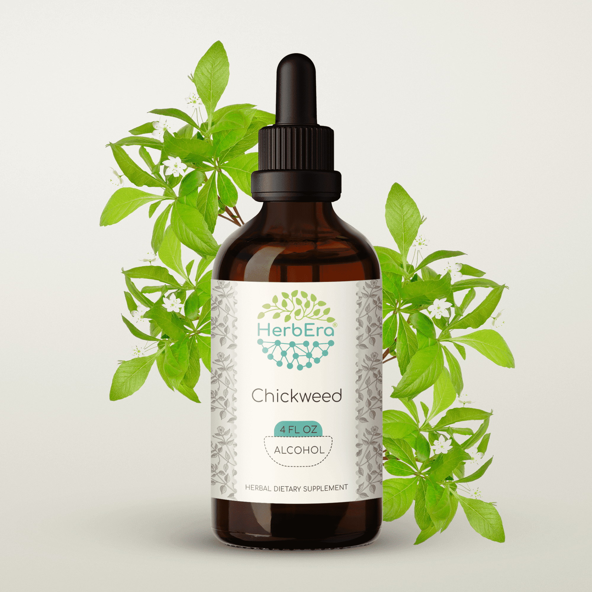 HerbEra Chickweed Tincture, Herbal Dietary Supplement for Skin Support ...