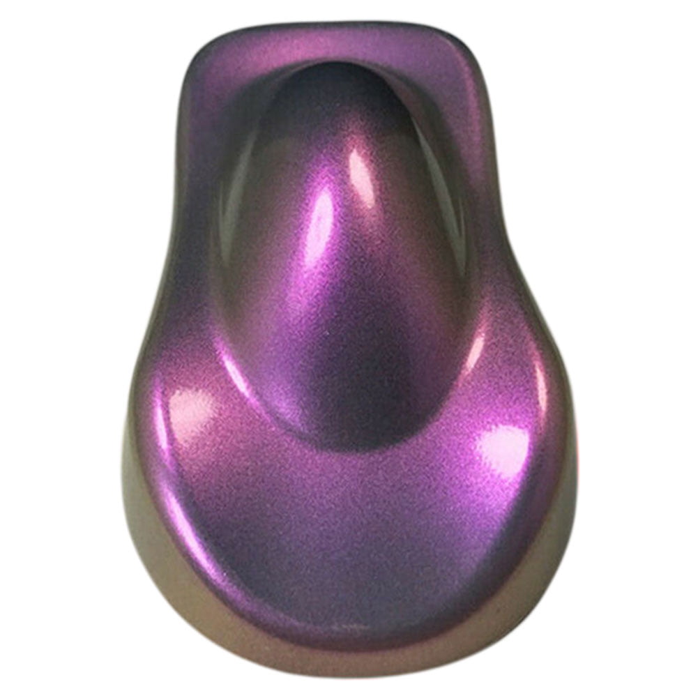 Chicmine 10g Car Chameleon Pigments Paint Powder Coating Auto ...