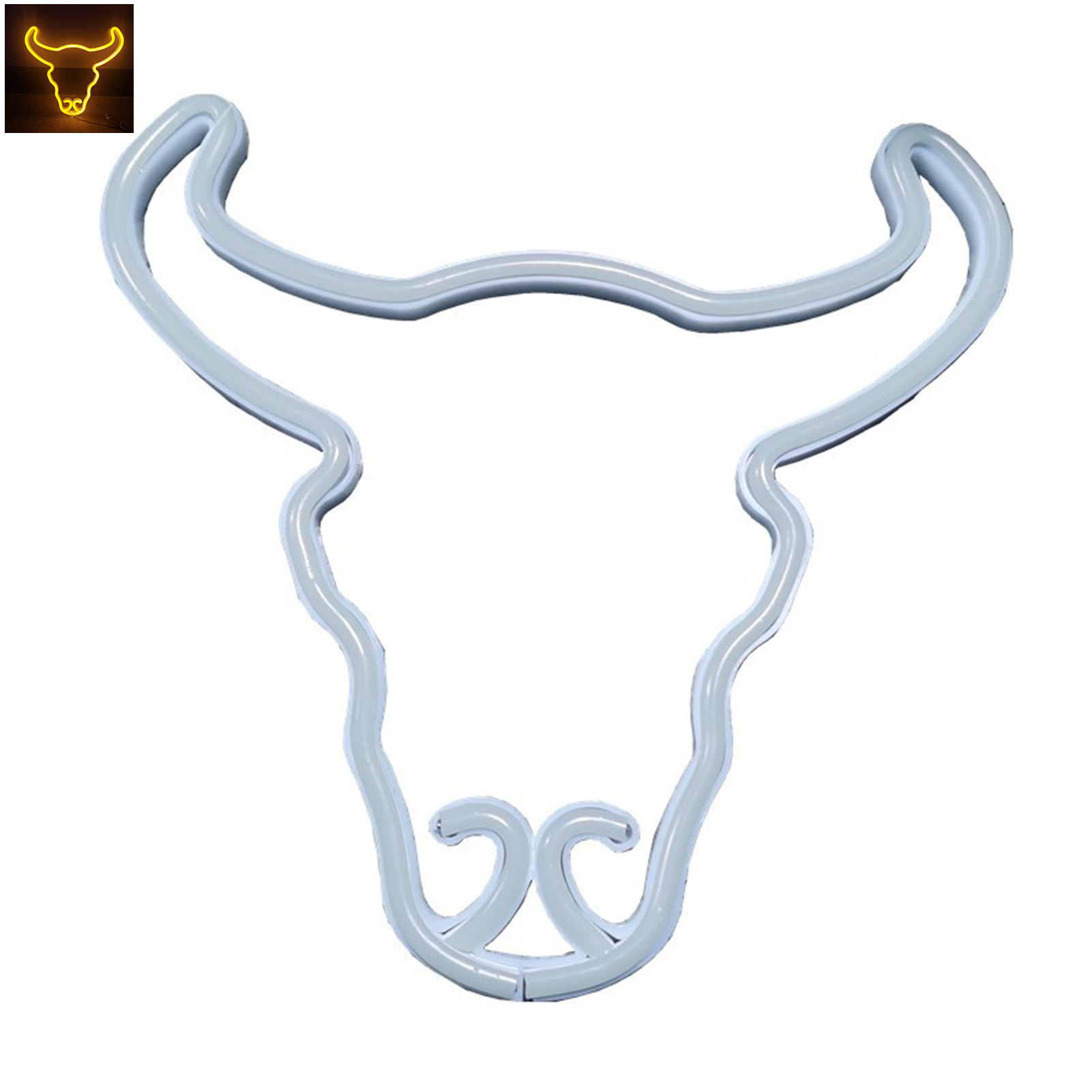 Chicmine LED Neon Light USB/Battery Operated Non-Glaring Flicker Free ...