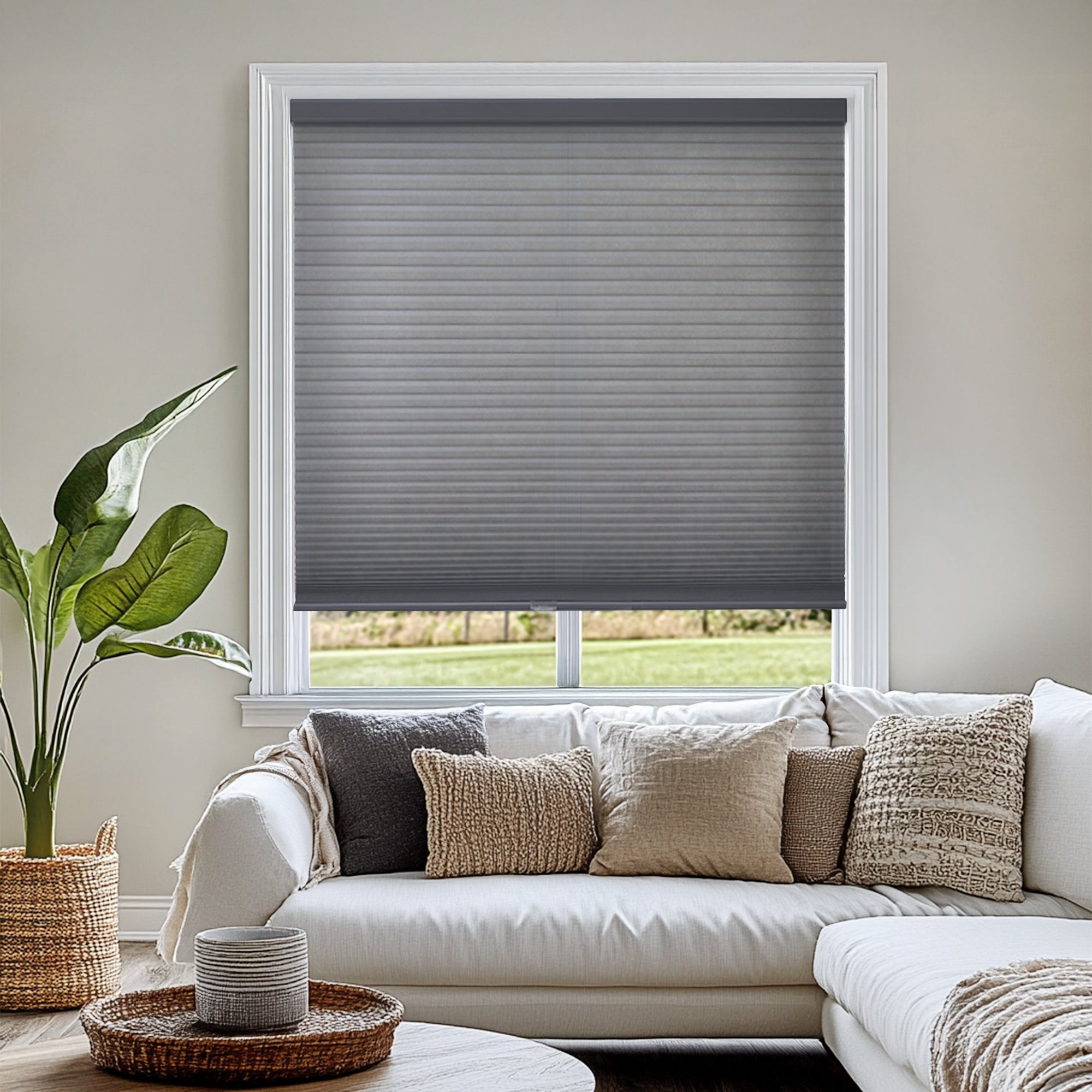 Chicology Light Filtering Cellular Shade, Morning Fog, 38.25"W x 64"H ...