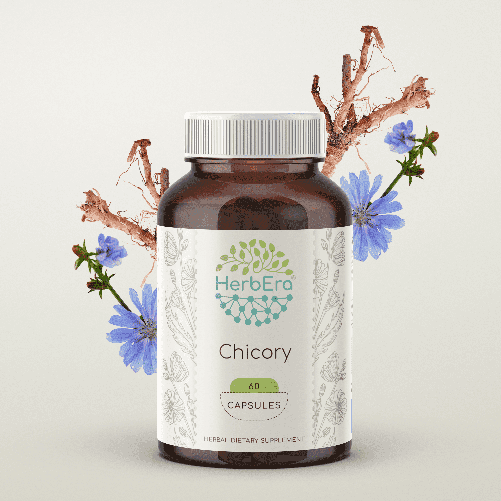 HerbEra Chicory Capsules, Herbal Dietary Supplement for Digestive ...