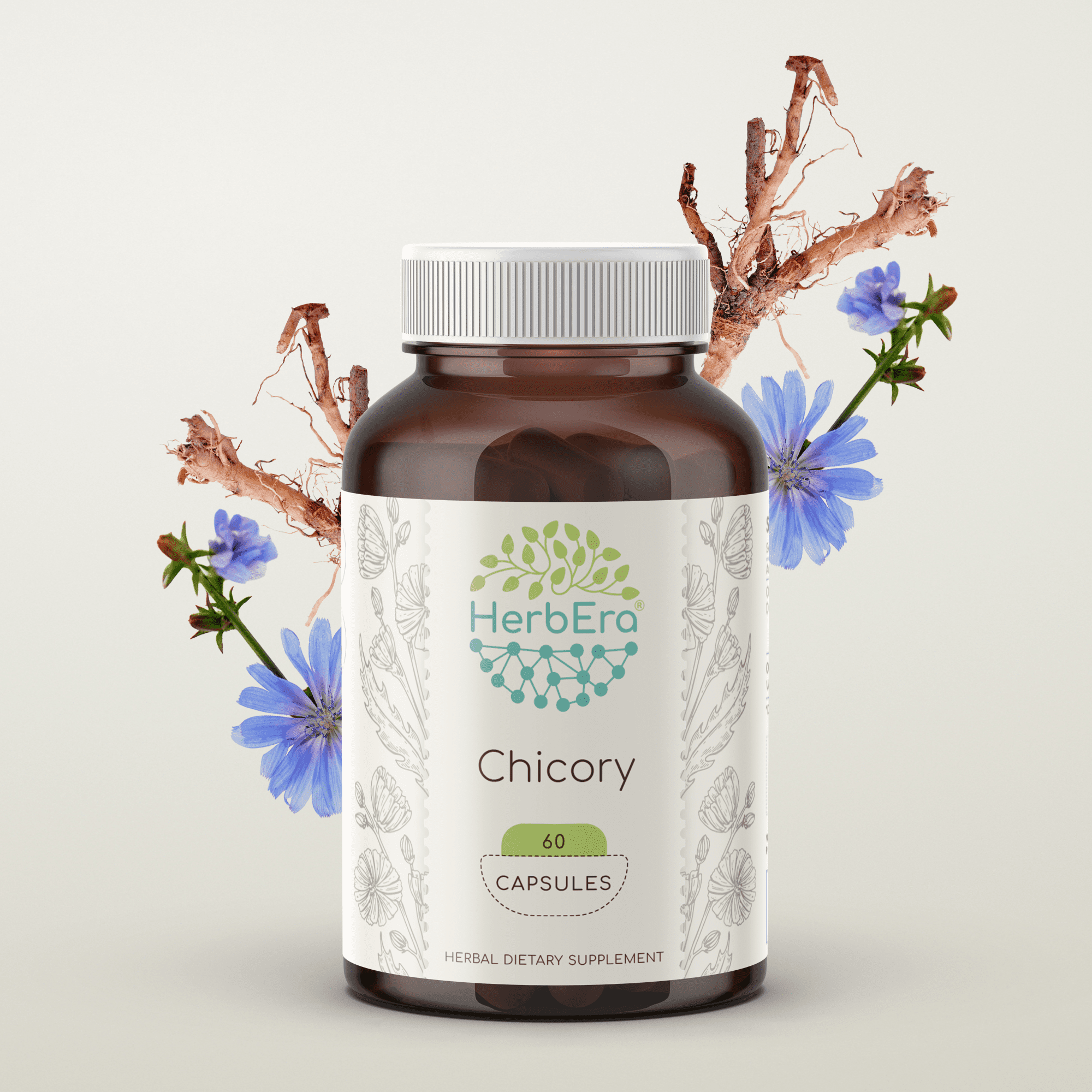 Chicory 60 Capsules, 500 mg, Organic Chicory (Cichorium Intybus) Dried ...