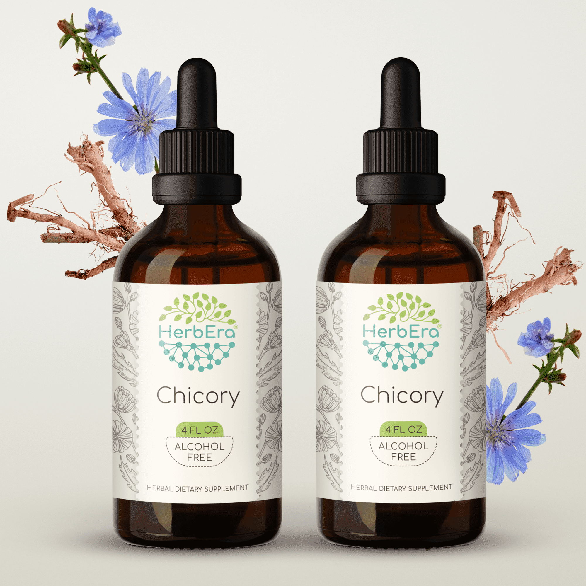 HerbEra Chicory Tincture, Herbal Dietary Supplement for Digestive ...