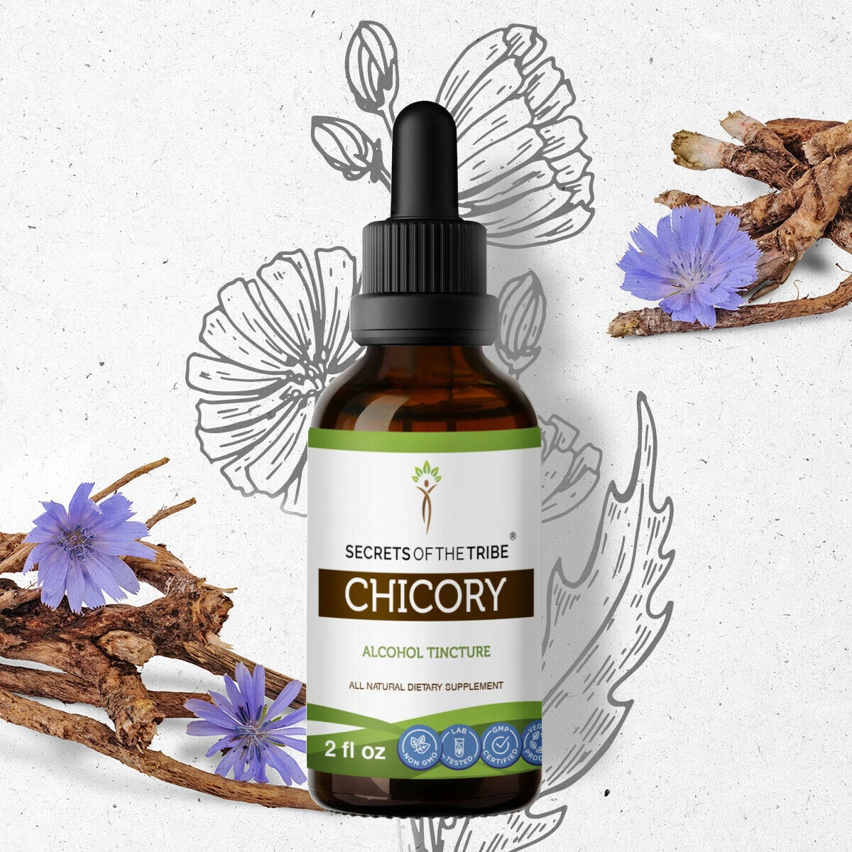 Chicory Tincture Alcohol Extract, Organic Chicory (Cichorium Intybus ...