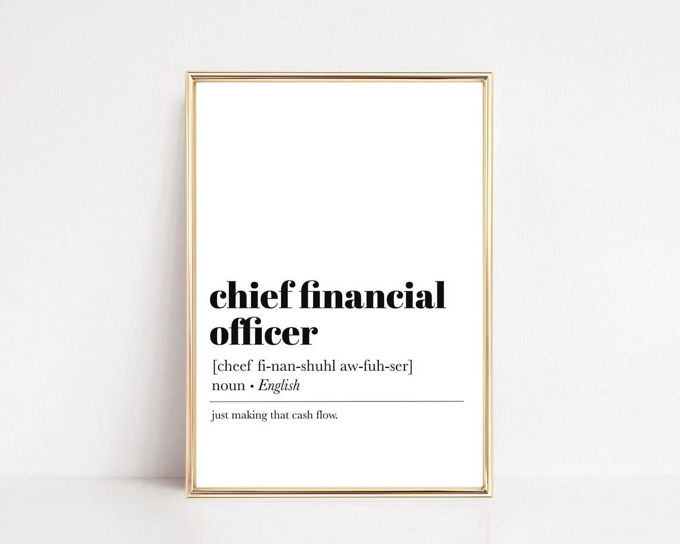 Chief Financial Officer Definition Print Cfo Gift Cfo Office Decor Gift ...