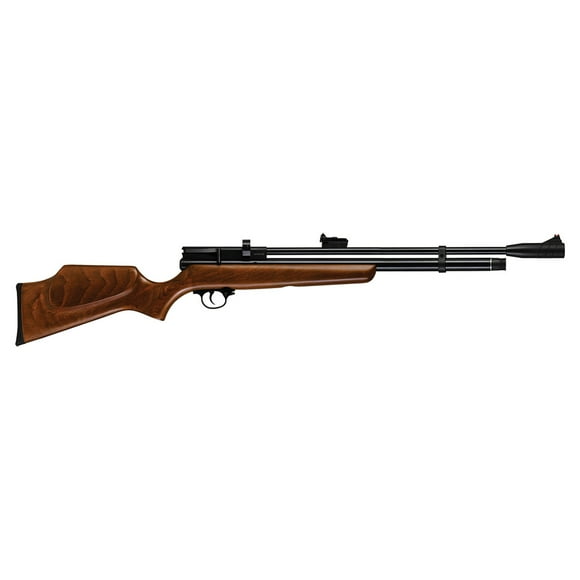 Beeman Air Guns in Recreational Shooting - Walmart.com