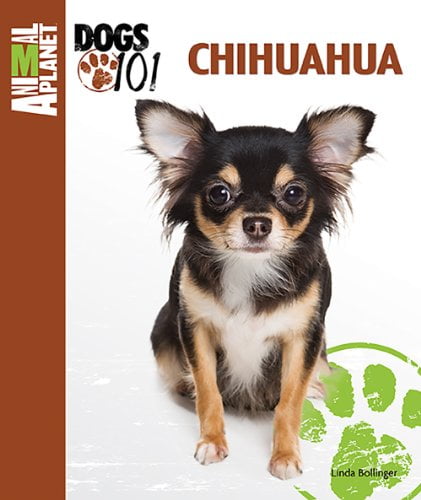Pre-Owned Chihuahua (Animal Planet Dogs 101) Paperback - Walmart.com