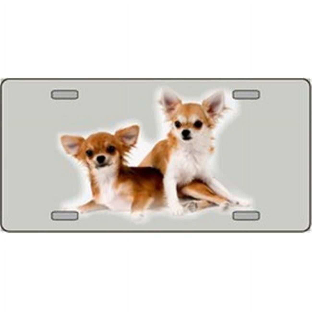 Chihuahua Dog Pet Novelty License Plates- Full Color Photography ...