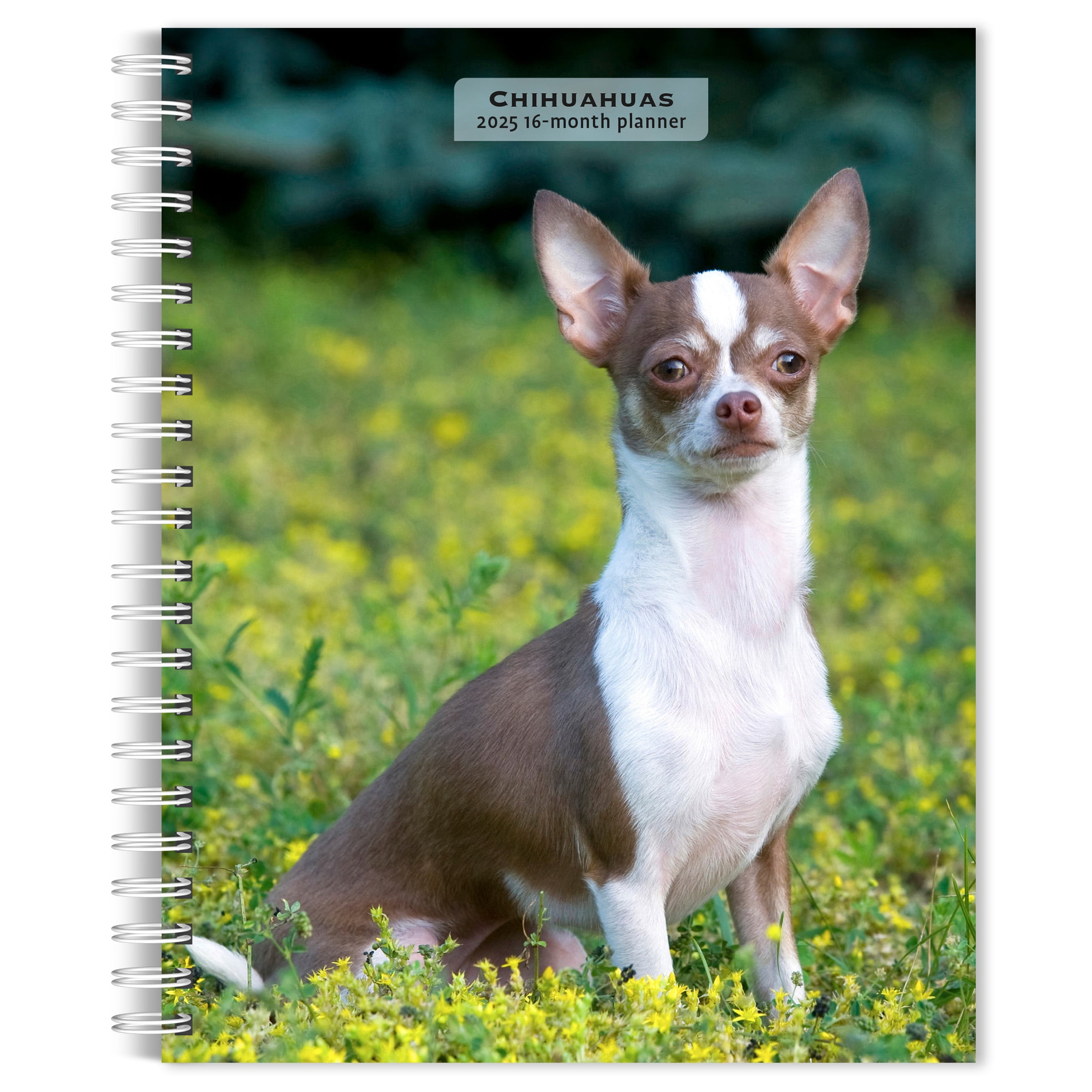 Chihuahuas | 2025 6x7.75" Spiral-Bound Engagement Planner Calendar ...
