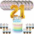 Chiikawa Birthday 21th Cups Party Supplies Plates Fans Decorations Cake ...