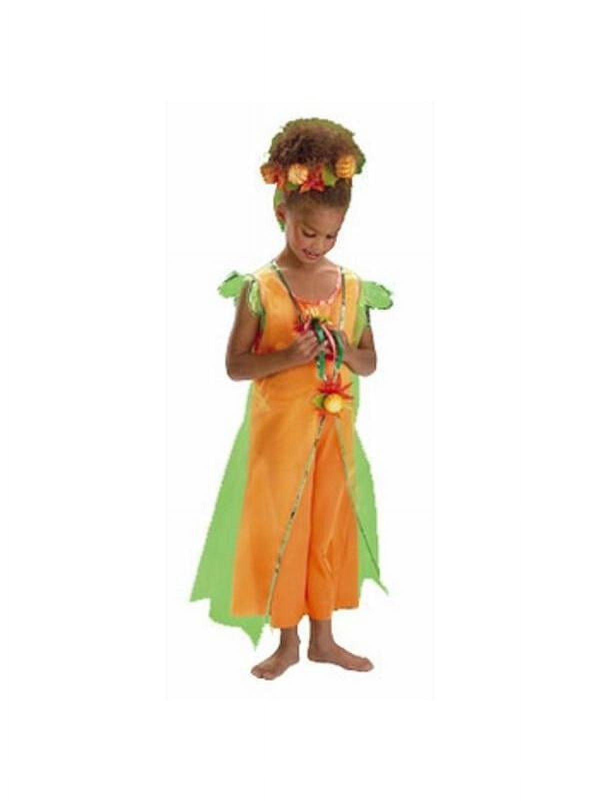Child's Pumpkin Princess Costume - Walmart.com