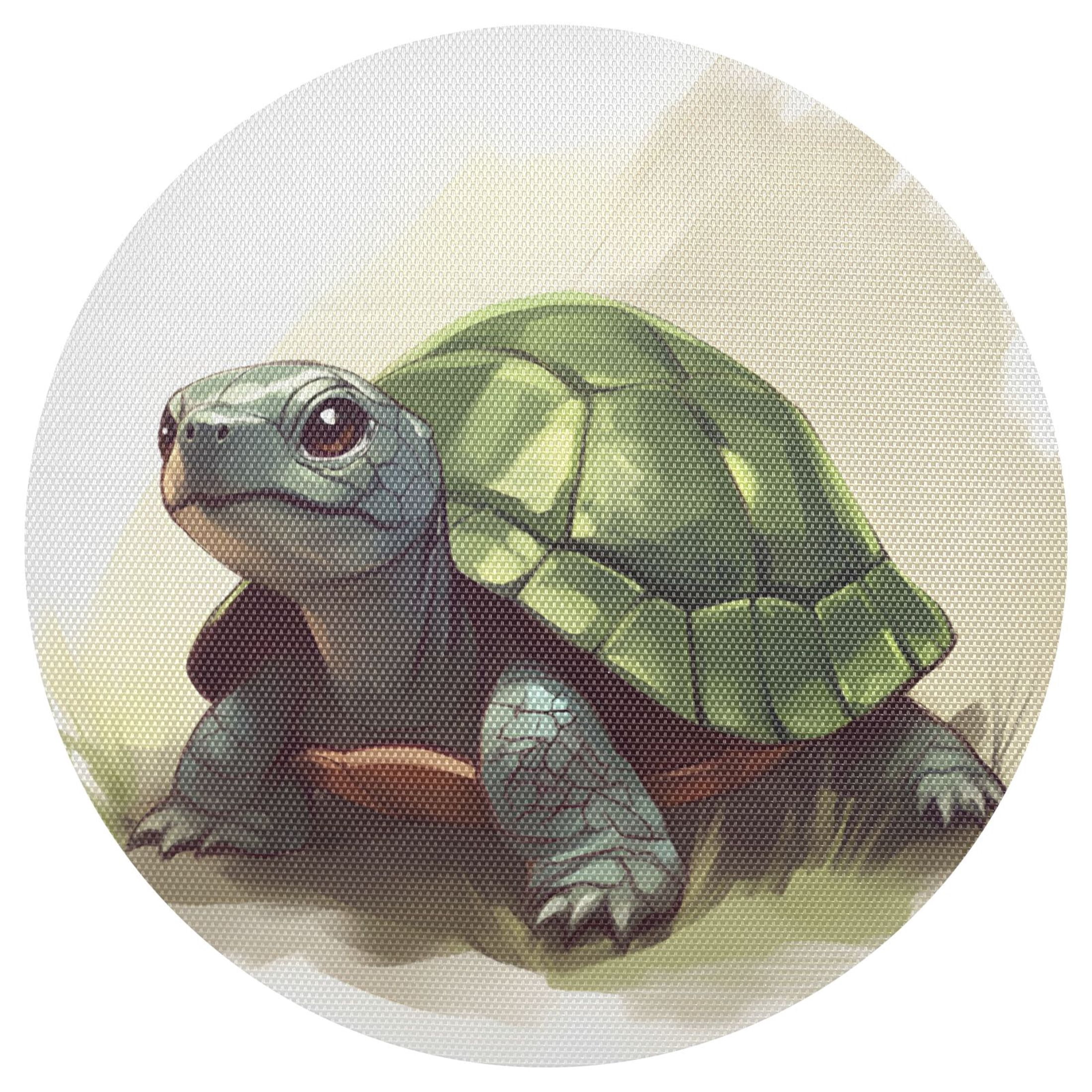 Child's Sketch Turtle 4-Piece 15.4in Heat-Proof PVC Plate Mats, Easy ...