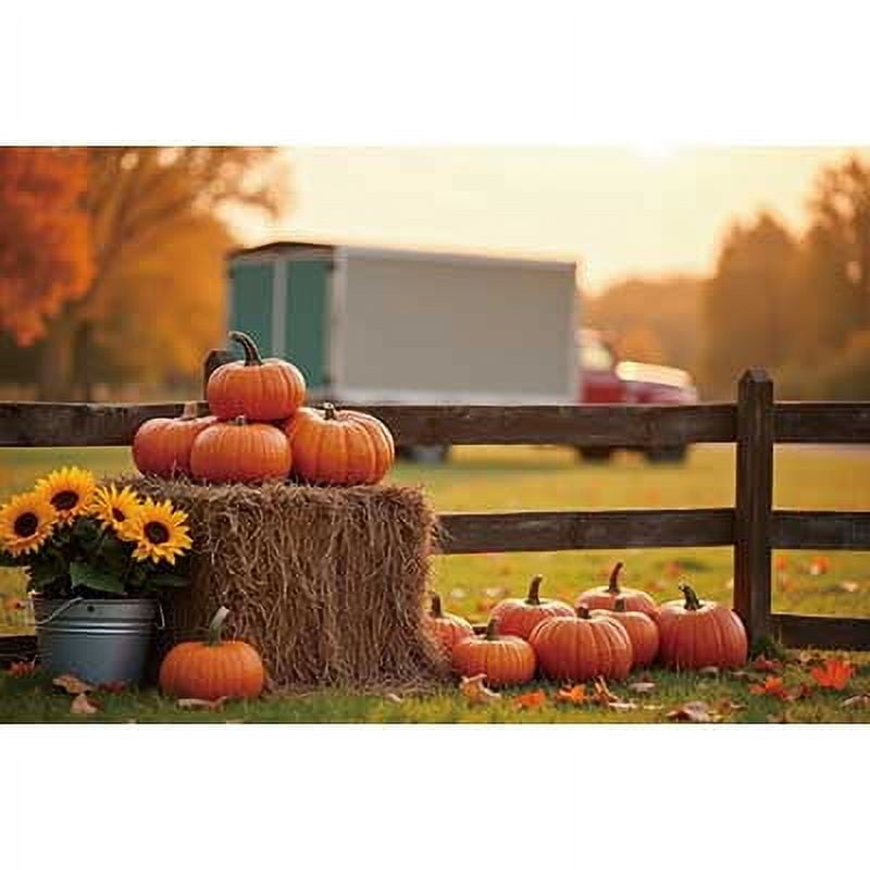 Childr Autumn Outdoor Photography Background Gard Park Pumpkin Scarecrow Haystack Backdrop ...