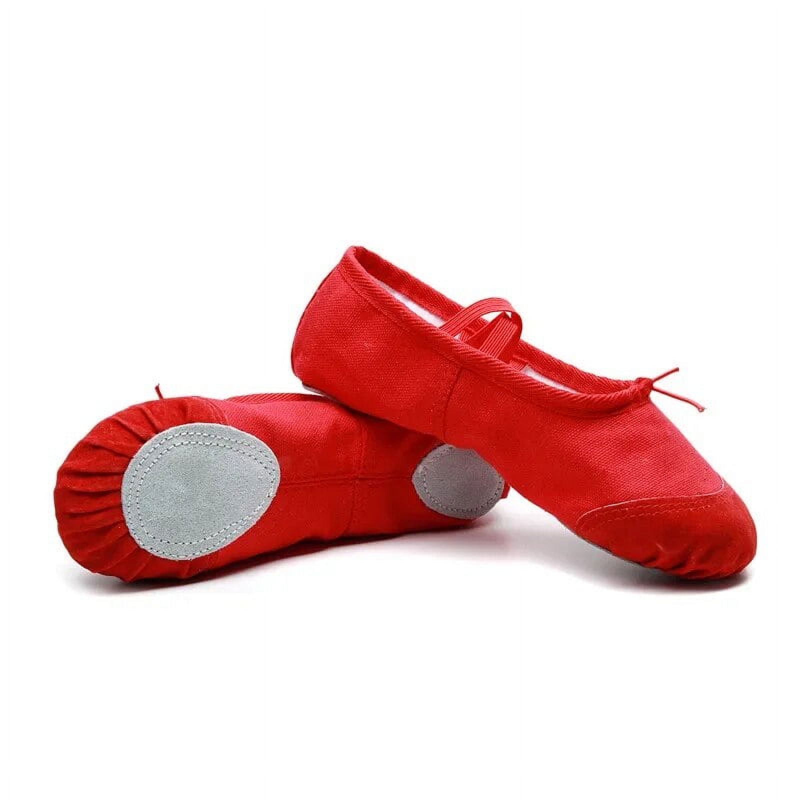 Children Dance Shoe Four Seasons Soft Sole Ballet Dance Shoes Girl ...
