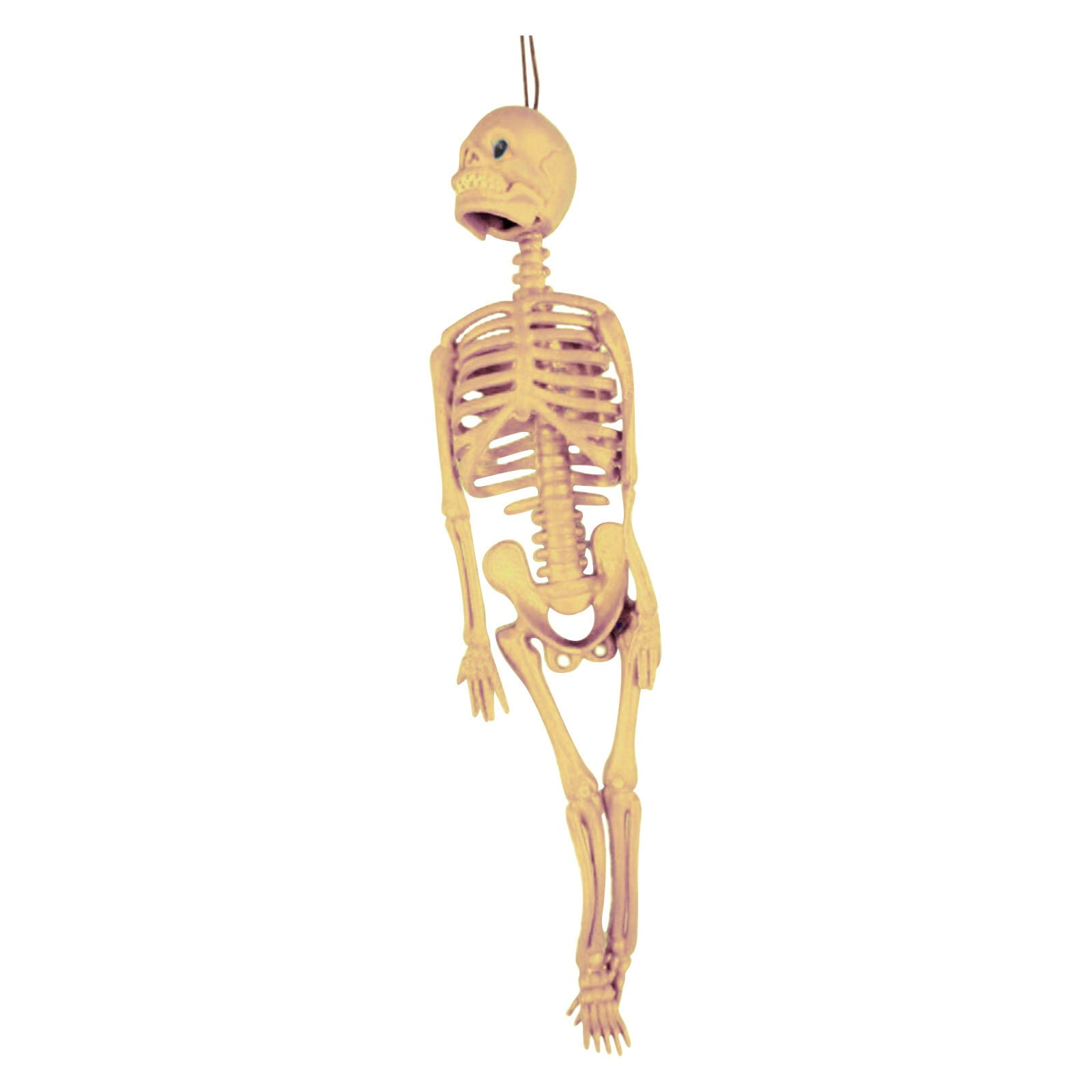 Children Educational Toys Whole Body Scary Skeleton Model Toy (Beige ...