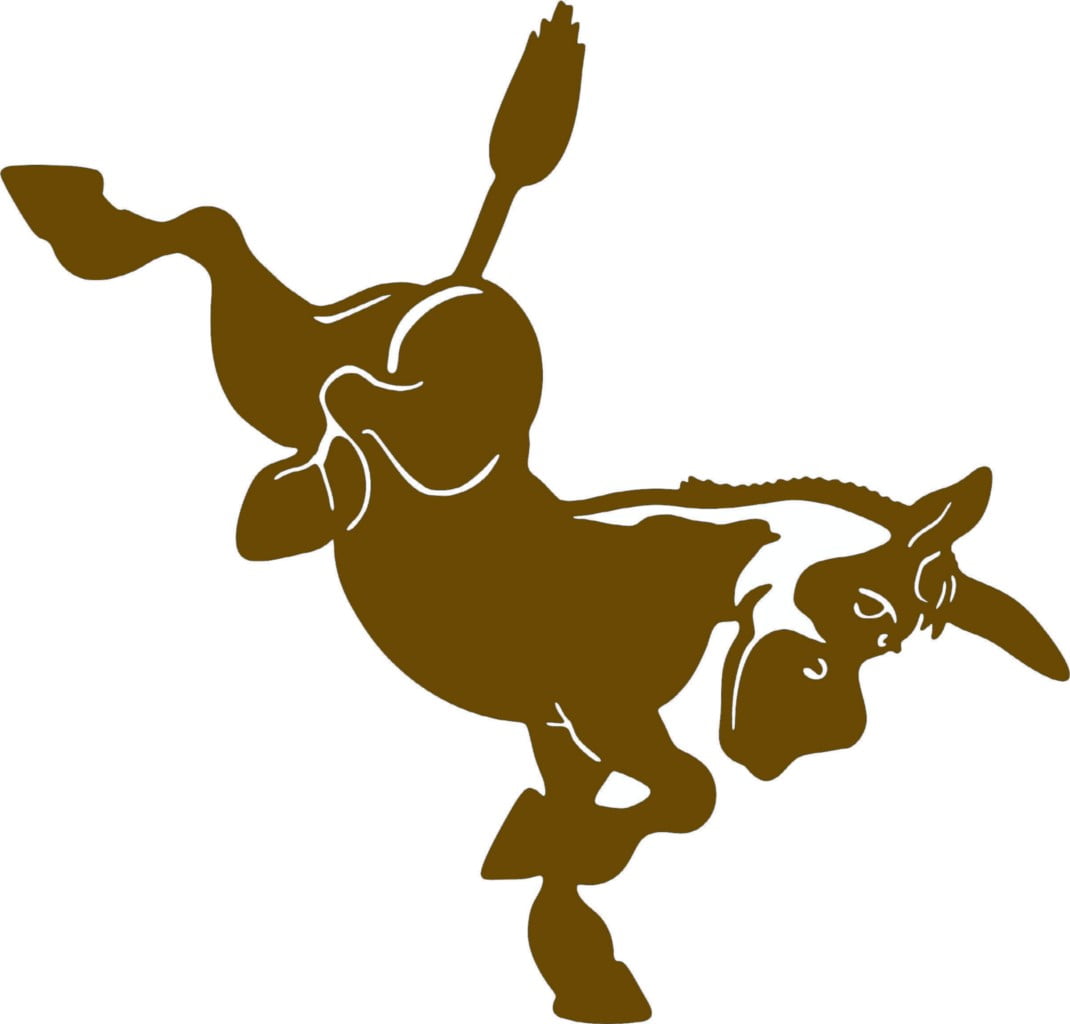 Children Funny Animal Wall Decal Decoration Goofy Donkey Jumping Lasts ...