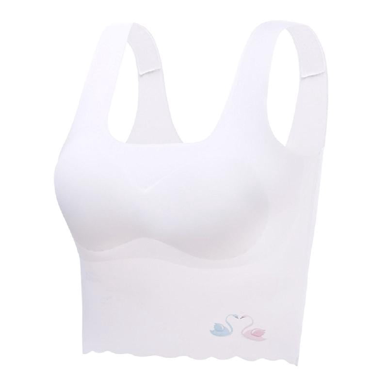 Children Girl Bra Underwear For Puberty Girls Developmental Underwear ...