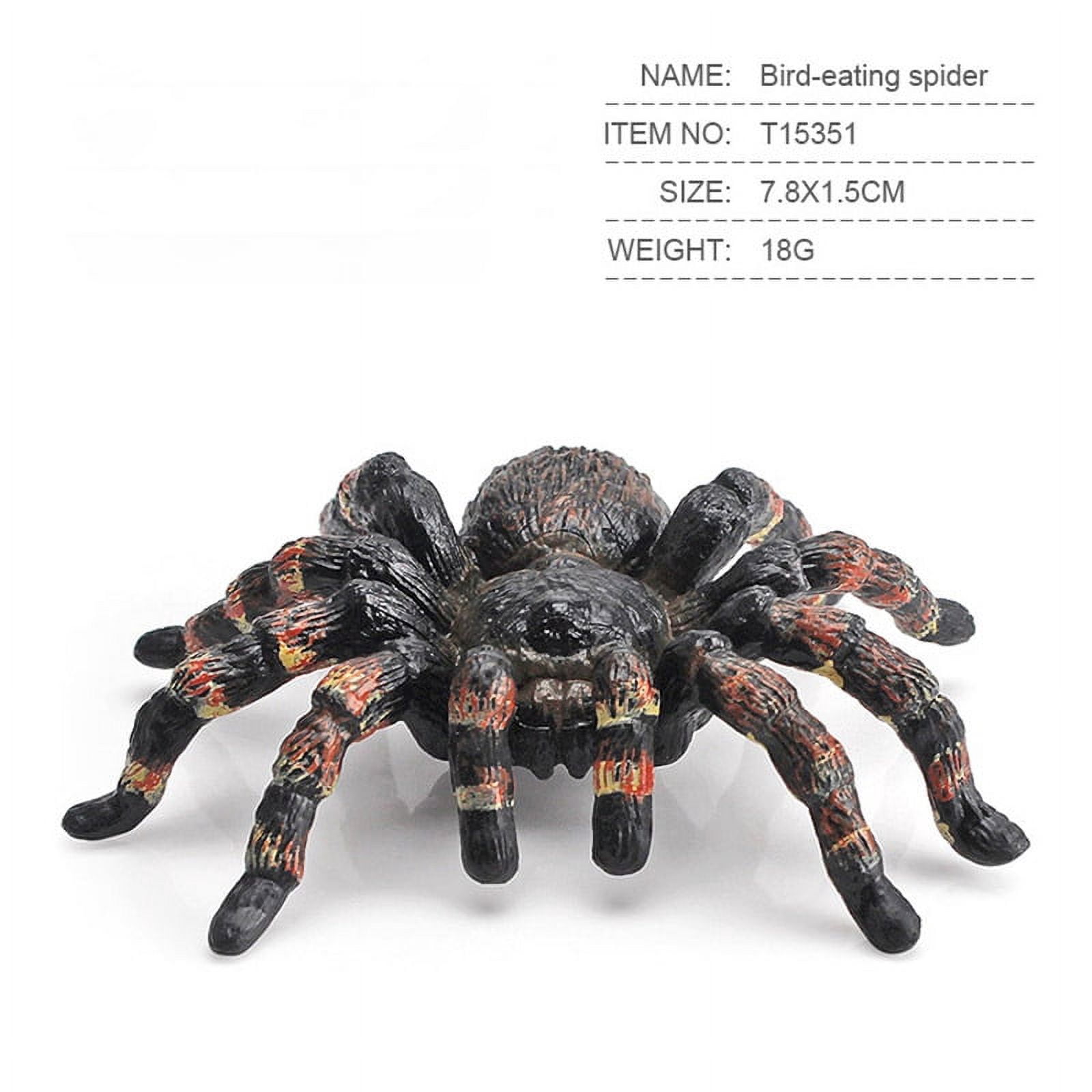 Children Insect Action Figure Simulation Spider Butterfly Grasshopper ...