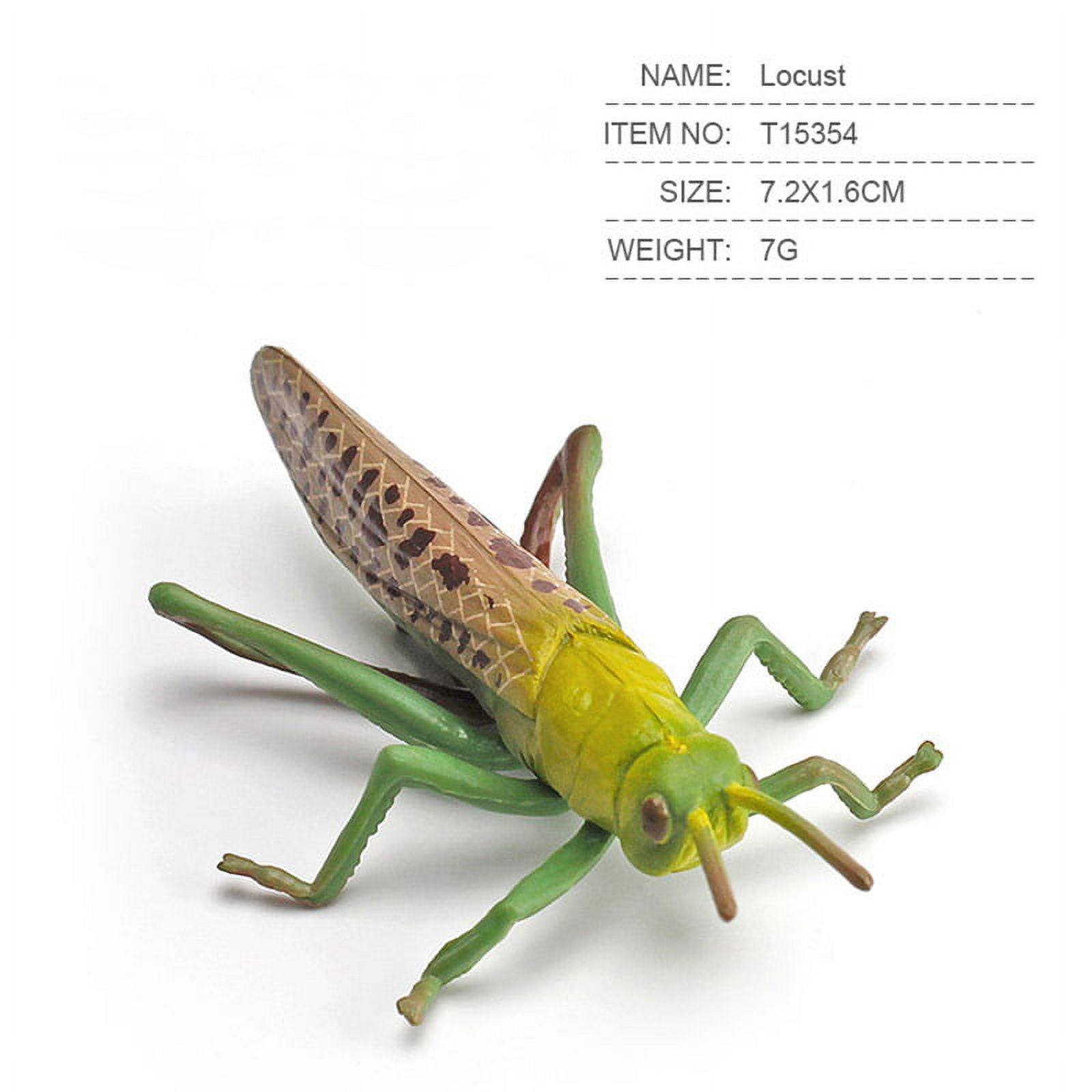 Children Insect Action Figure Simulation Spider Butterfly Grasshopper ...