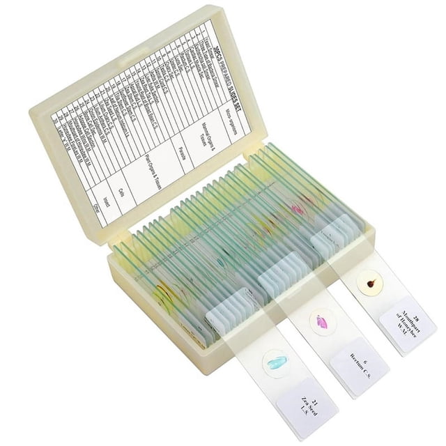 Children'S Microscope Slides, Glass Prep Slides for Microscope ...