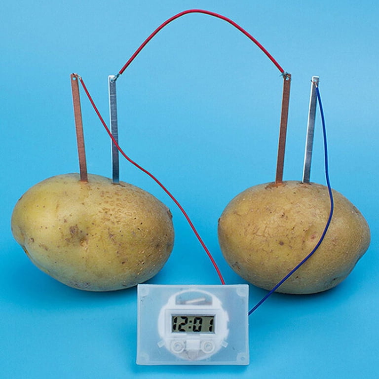 Electricity From A Potato
