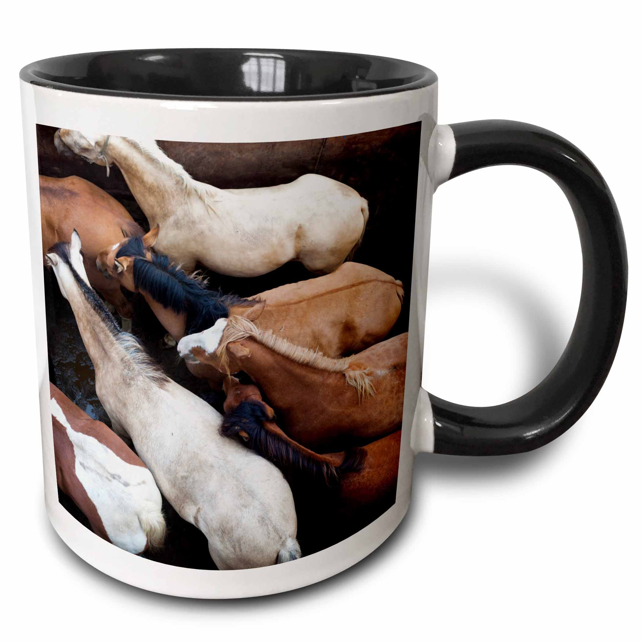 3drose, Chile, Chiloe Island, Chiloe Island Ferry, Horses., 15oz Two ...