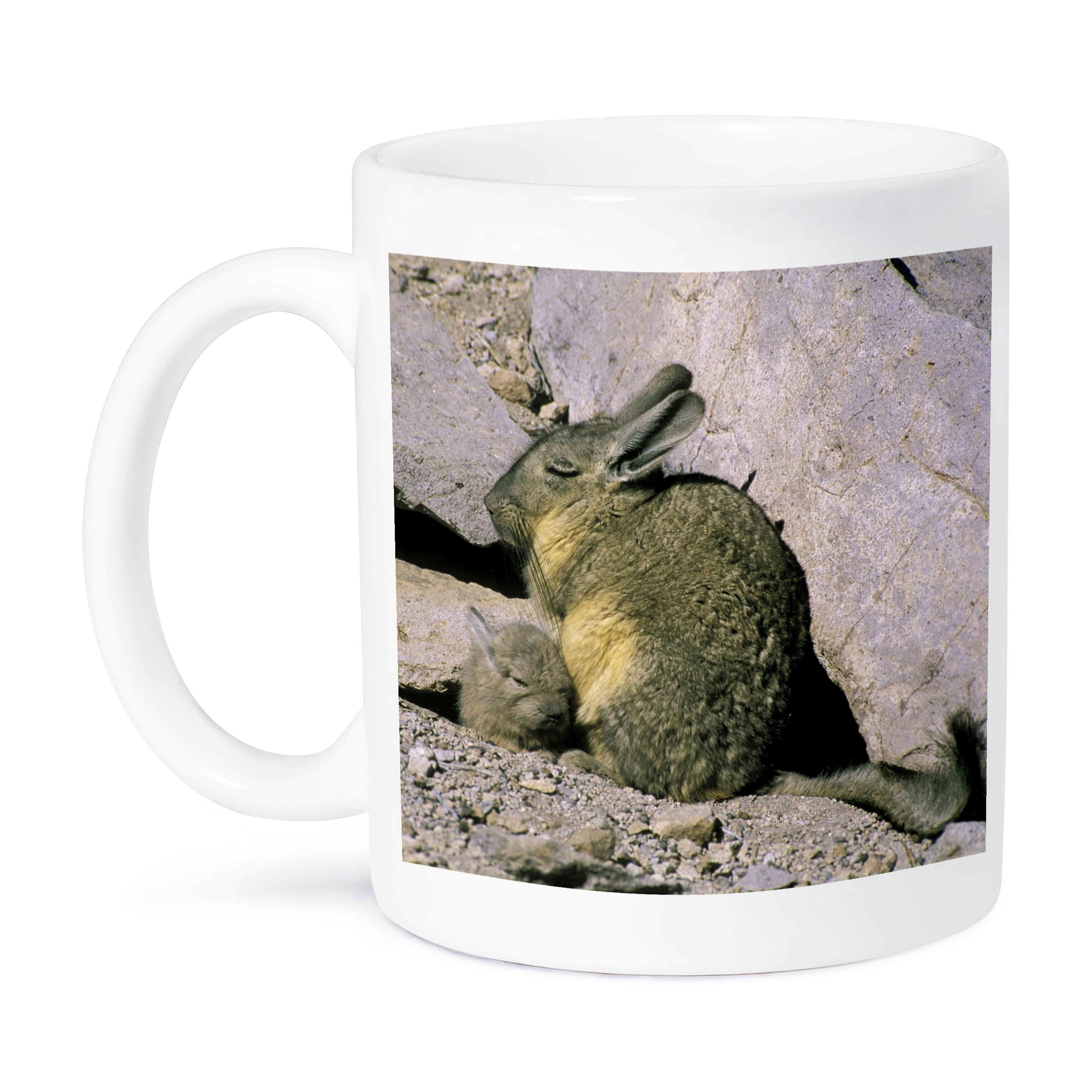 Chile, Luaca Np, Andean Viscacha Wildlife - Sa05 Amr0083 - Andres Morya ...