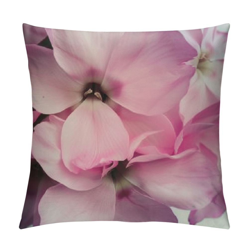 Chilfamy Decorative Throw Pillow Covers Square Pillow Covers for Sofa Pink Flower Petals Double ...