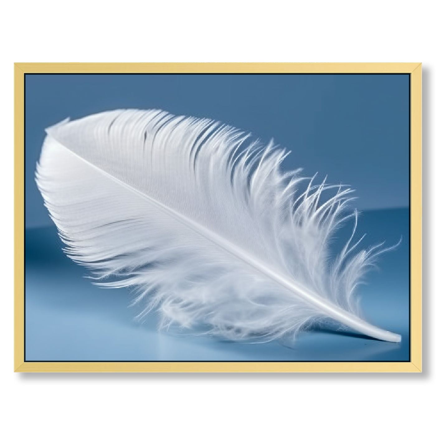 Chilfamy Framed Wall Art Ready to Hang Floating feather Canvas Print ...